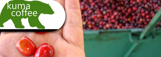 A Review of @KumaCoffee & #Coffee Cupping Tips - CoffeeNate.com